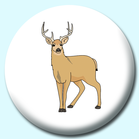 38mm Mule Deer Button Badge – BadgeBoy
